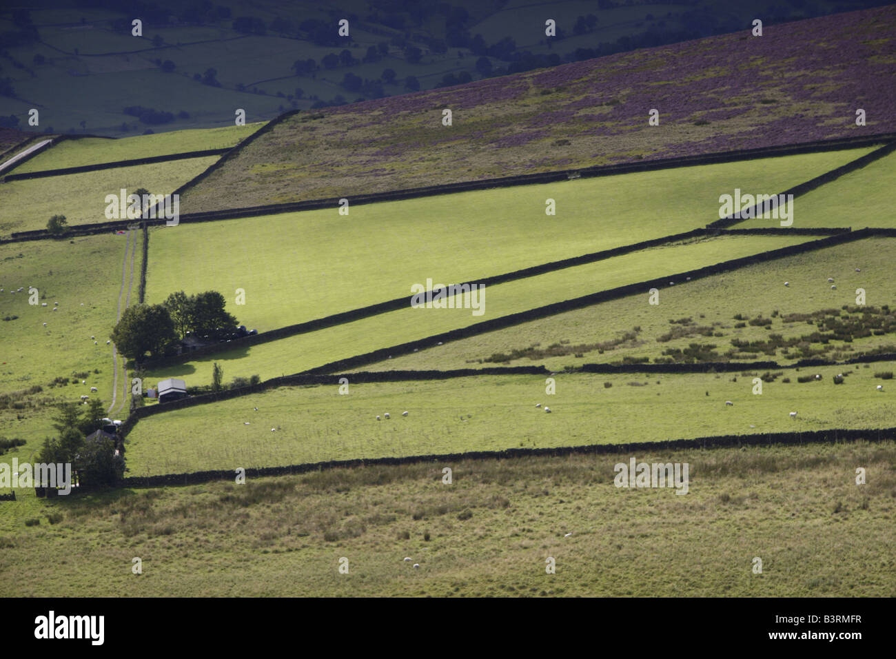 Field patterns hi-res stock photography and images - Alamy