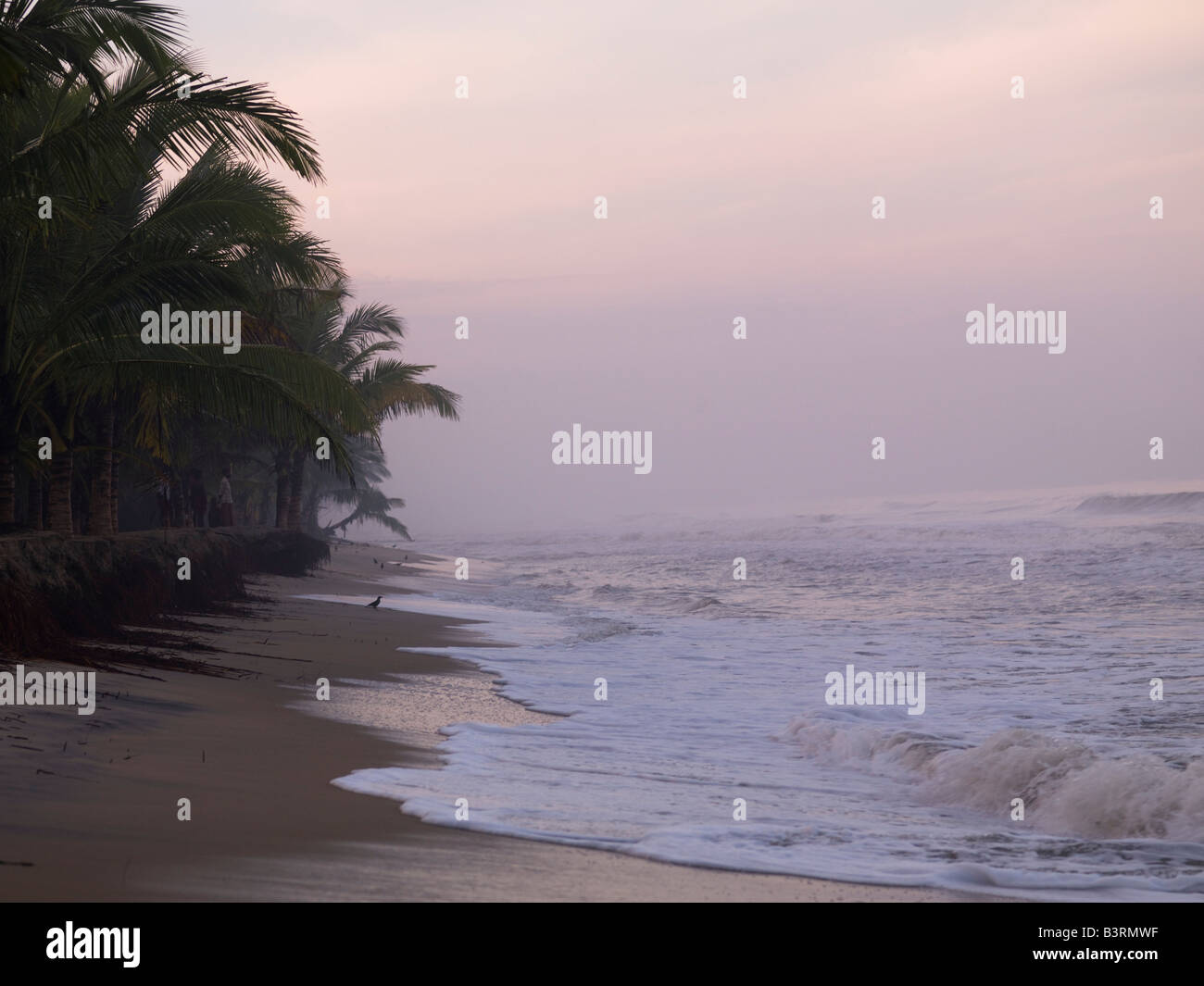 Beaches in arabian sea hi-res stock photography and images - Alamy