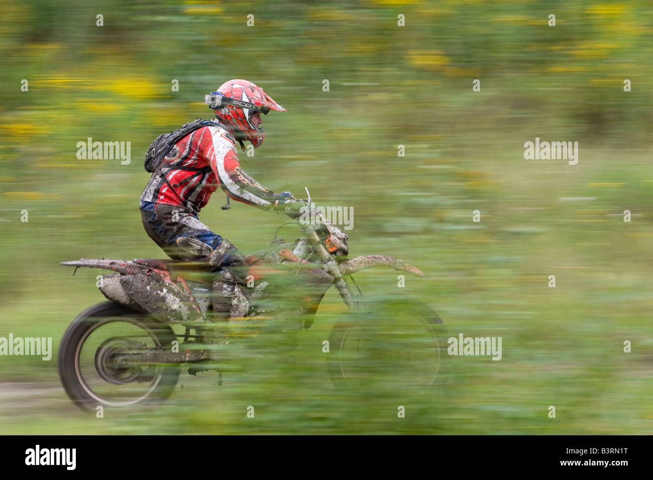 Enduro Rider in the wood Stock Photo - Alamy