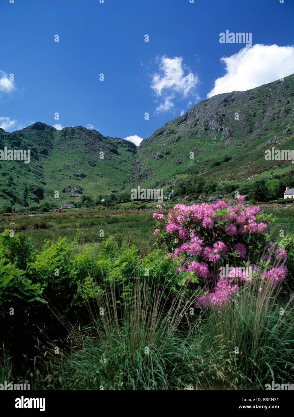 natural rural valley in the caha mountains of beara peninsula, remote ...