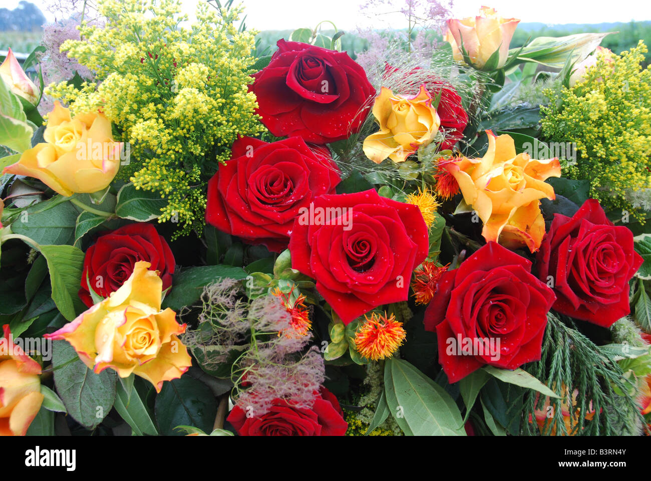 flower display at bi annual Rose festival Lottum Limburg Netherlands ...
