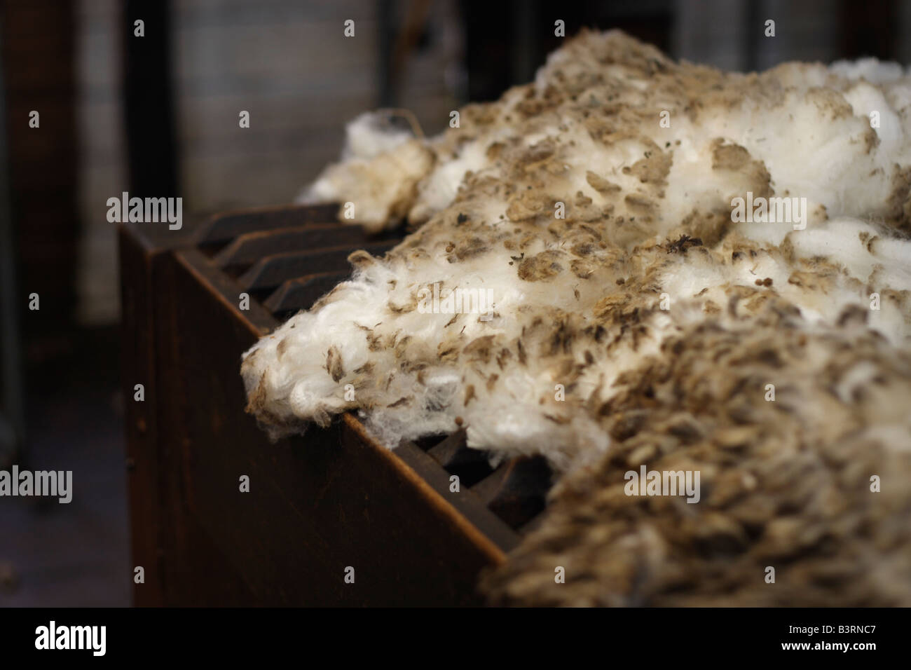 Shearing shed wool table hi-res stock photography and images - Alamy