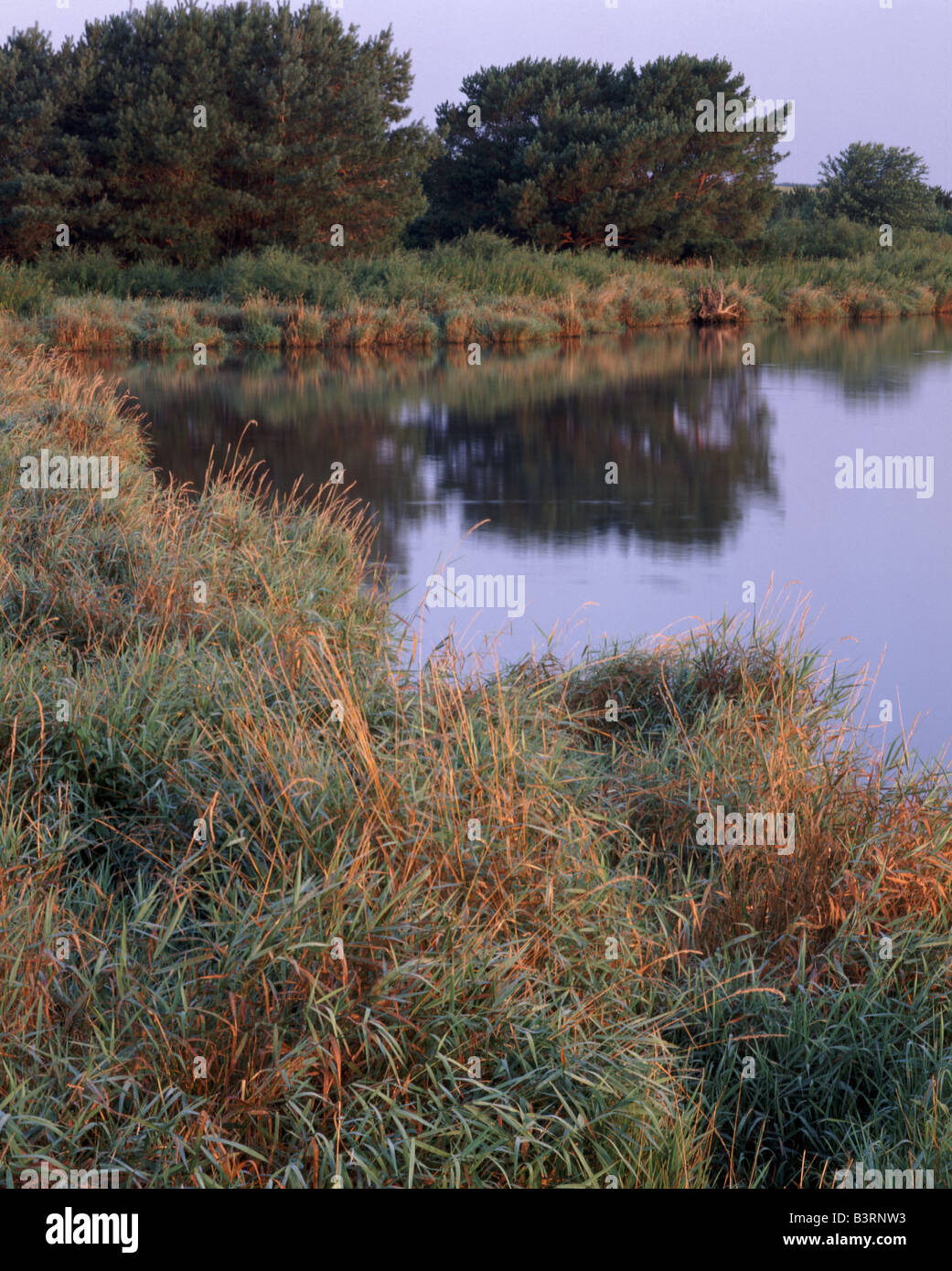Lylahs marsh natural area hi-res stock photography and images - Alamy