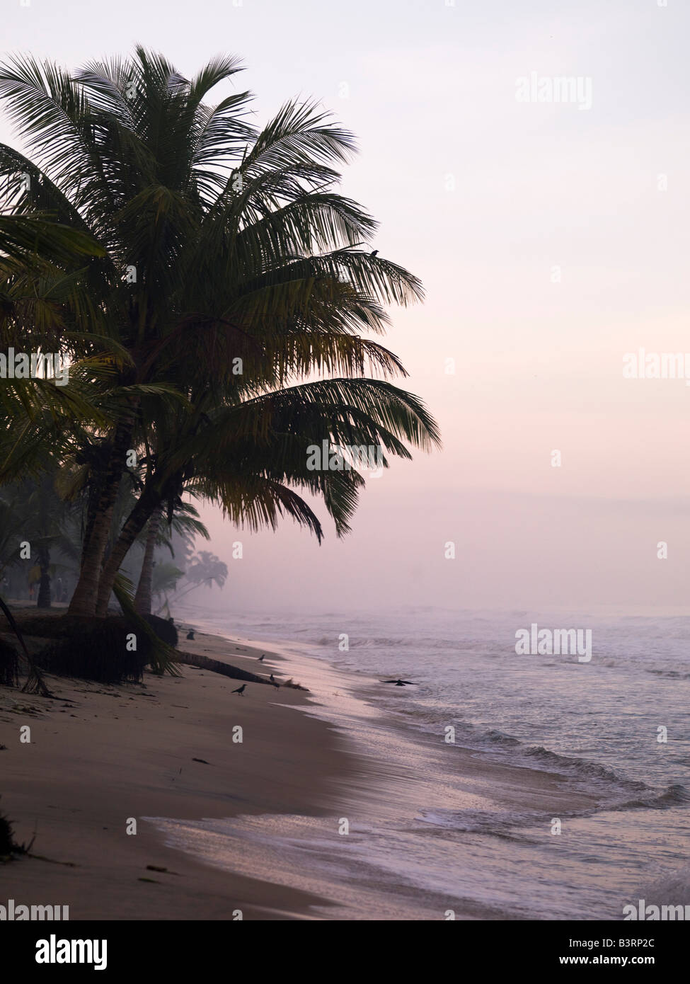 Arabian Sea, Kerala, India Stock Photo - Alamy