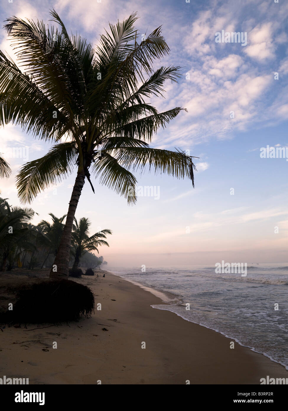 Kerala, Arabian Sea, India Stock Photo - Alamy