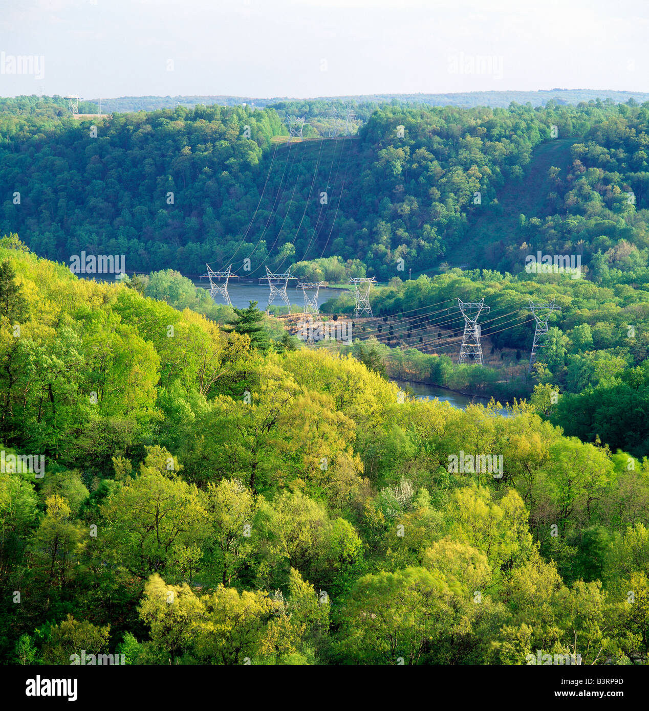 FOLIAGE GREEN WITH SPRING NEAR MUDDY RUN RESERVOIR & SUSQUEHANNOCK ...