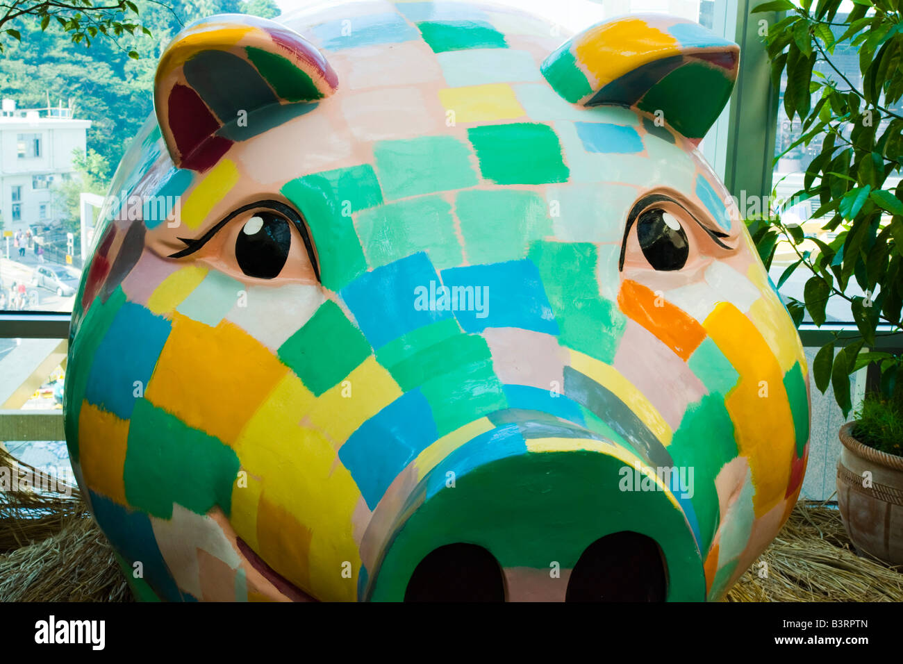 asia china hong kong pig 2007 Stock Photo - Alamy