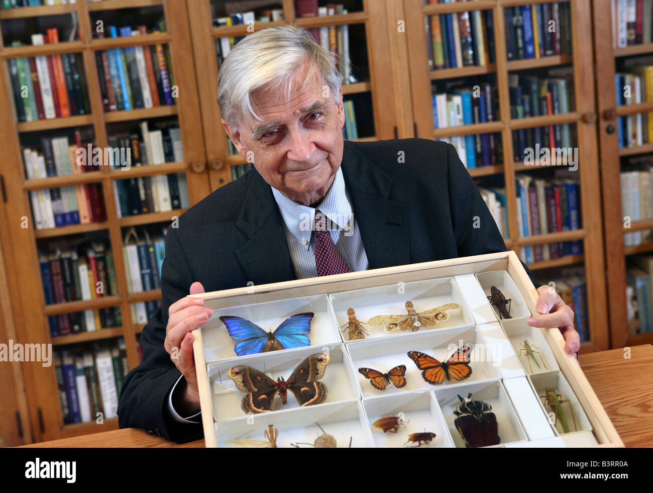 Professor and Curator of Entomology at the Museum of Comparative ...