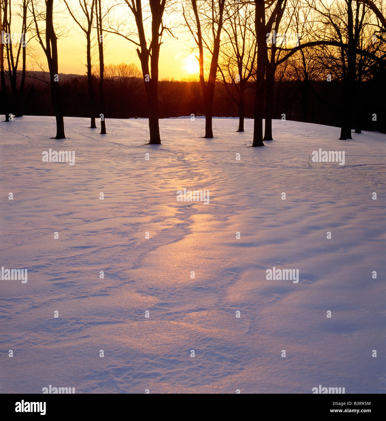 WINTER SUNSET OVER SNOWY FIELD, VALLEY FORGE NATIONAL HISTORIC PARK ...