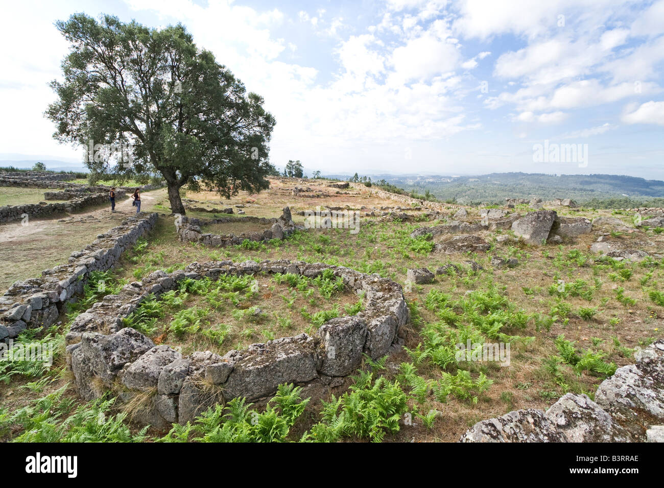 Citânia de Sanfins. A Castro Village (fortified Celtic-Iberian pre ...