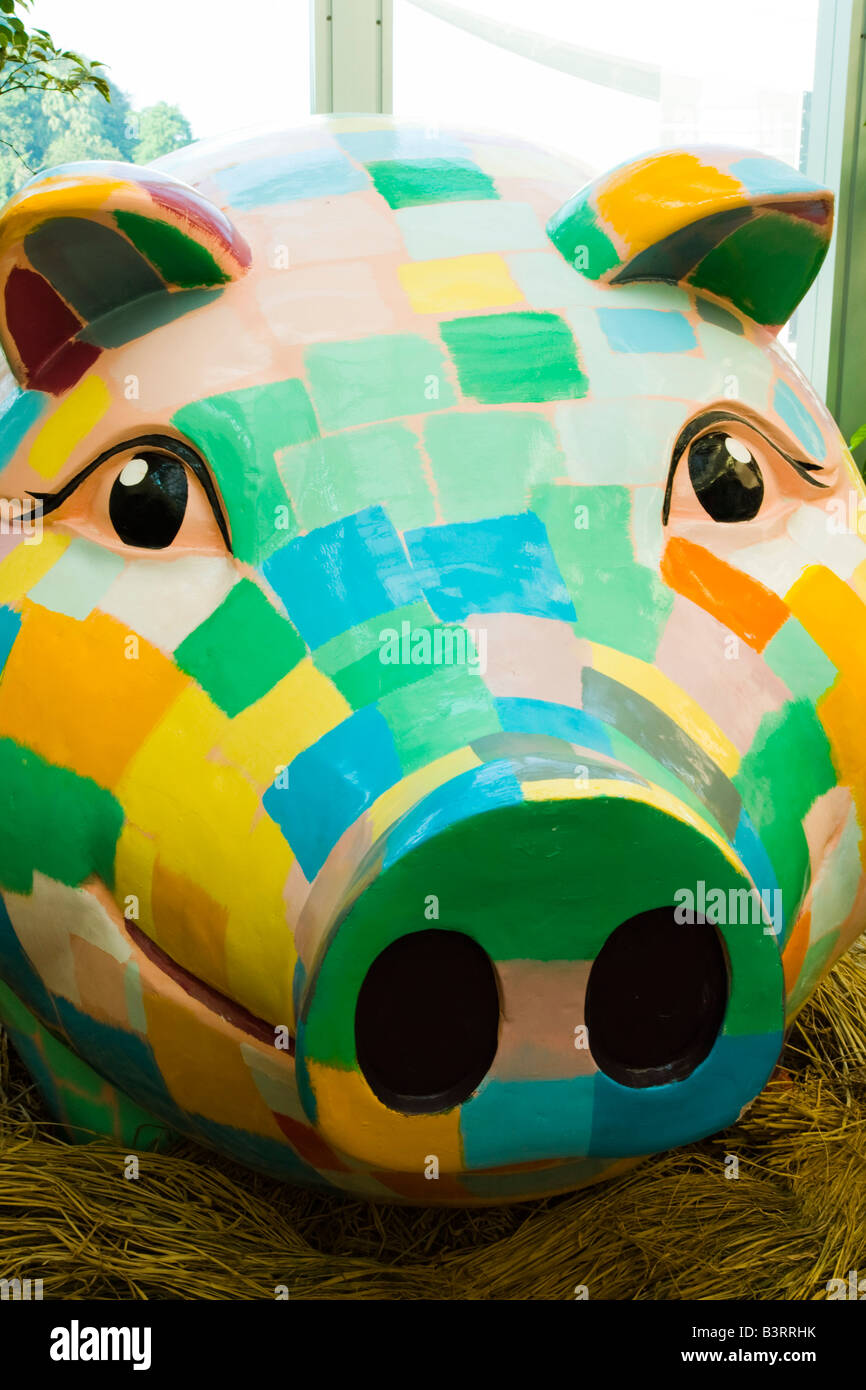 asia china hong kong pig 2007 Stock Photo - Alamy