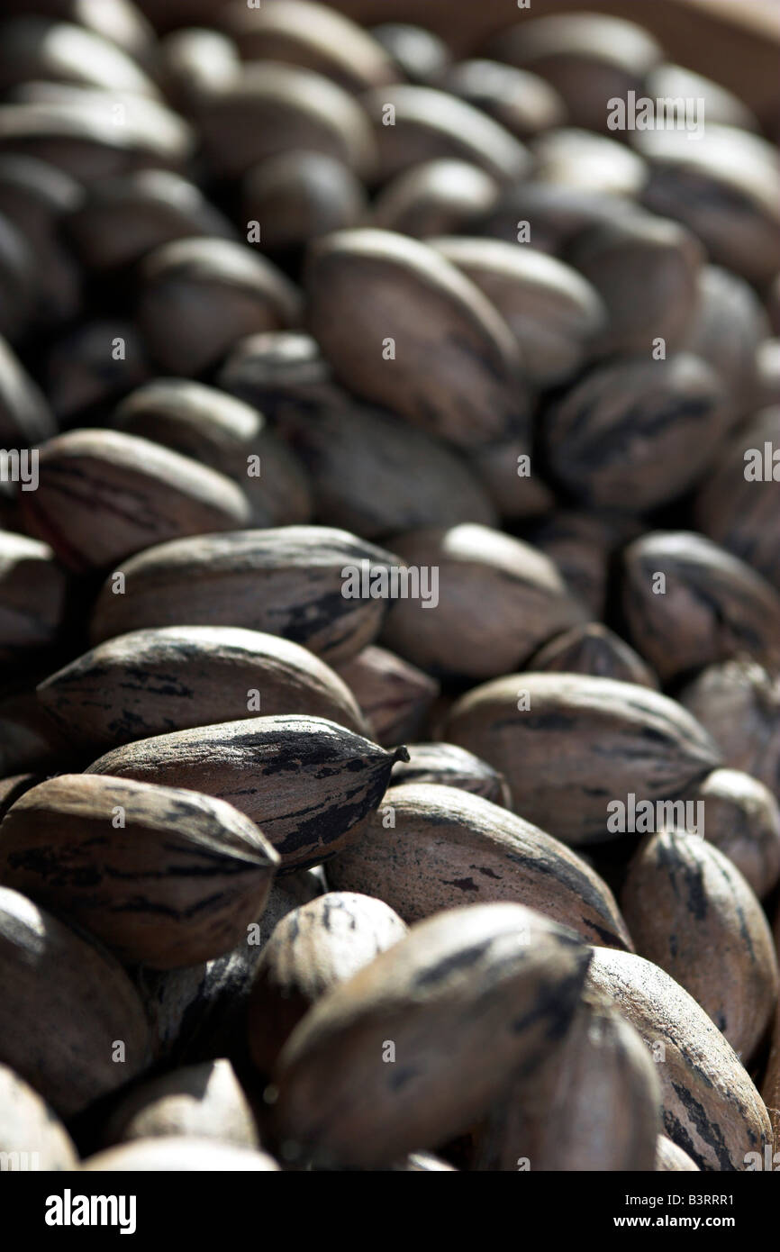 Texas pecans hi-res stock photography and images - Alamy