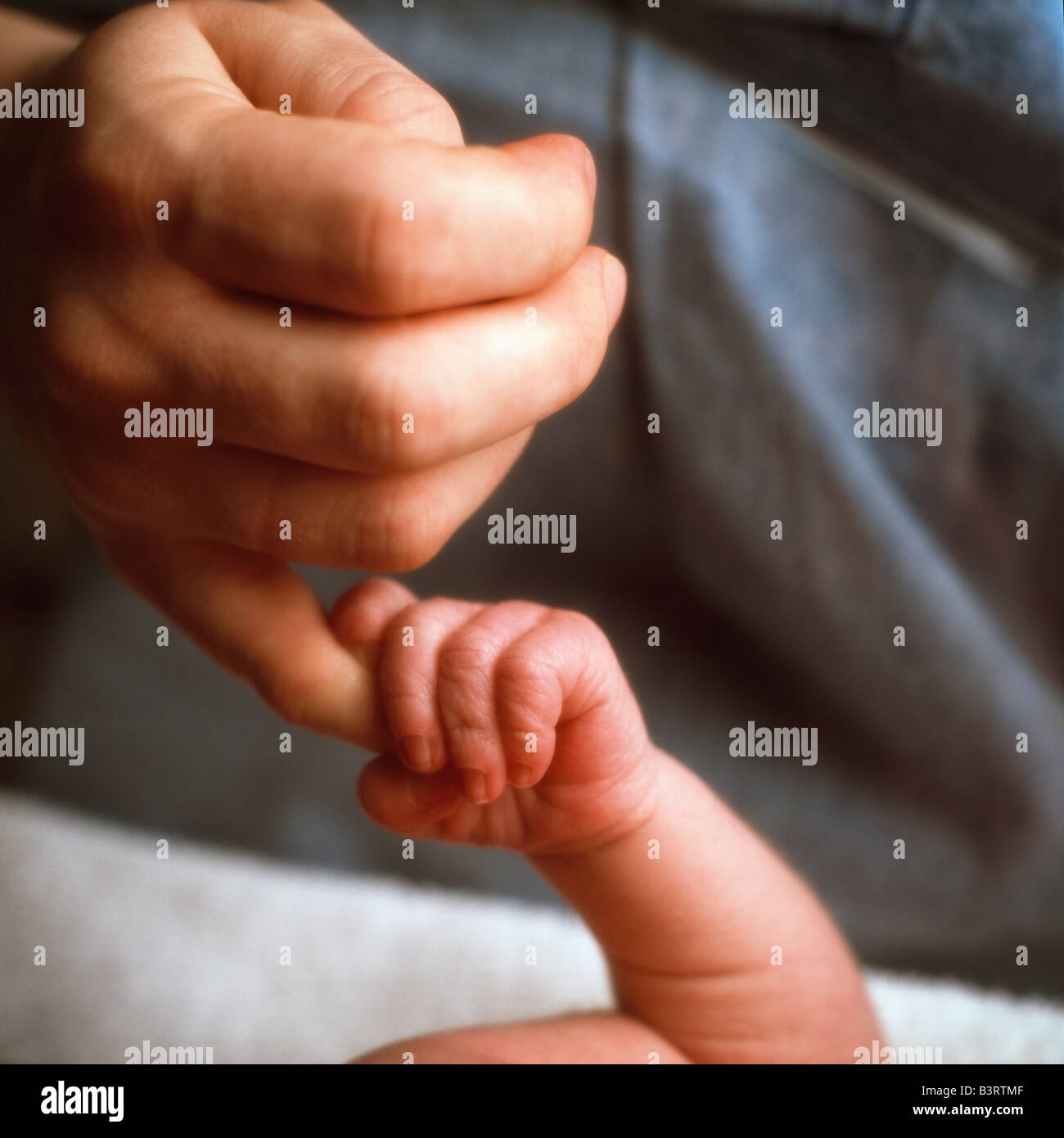 Newborn hand holding adult finger Stock Photo - Alamy