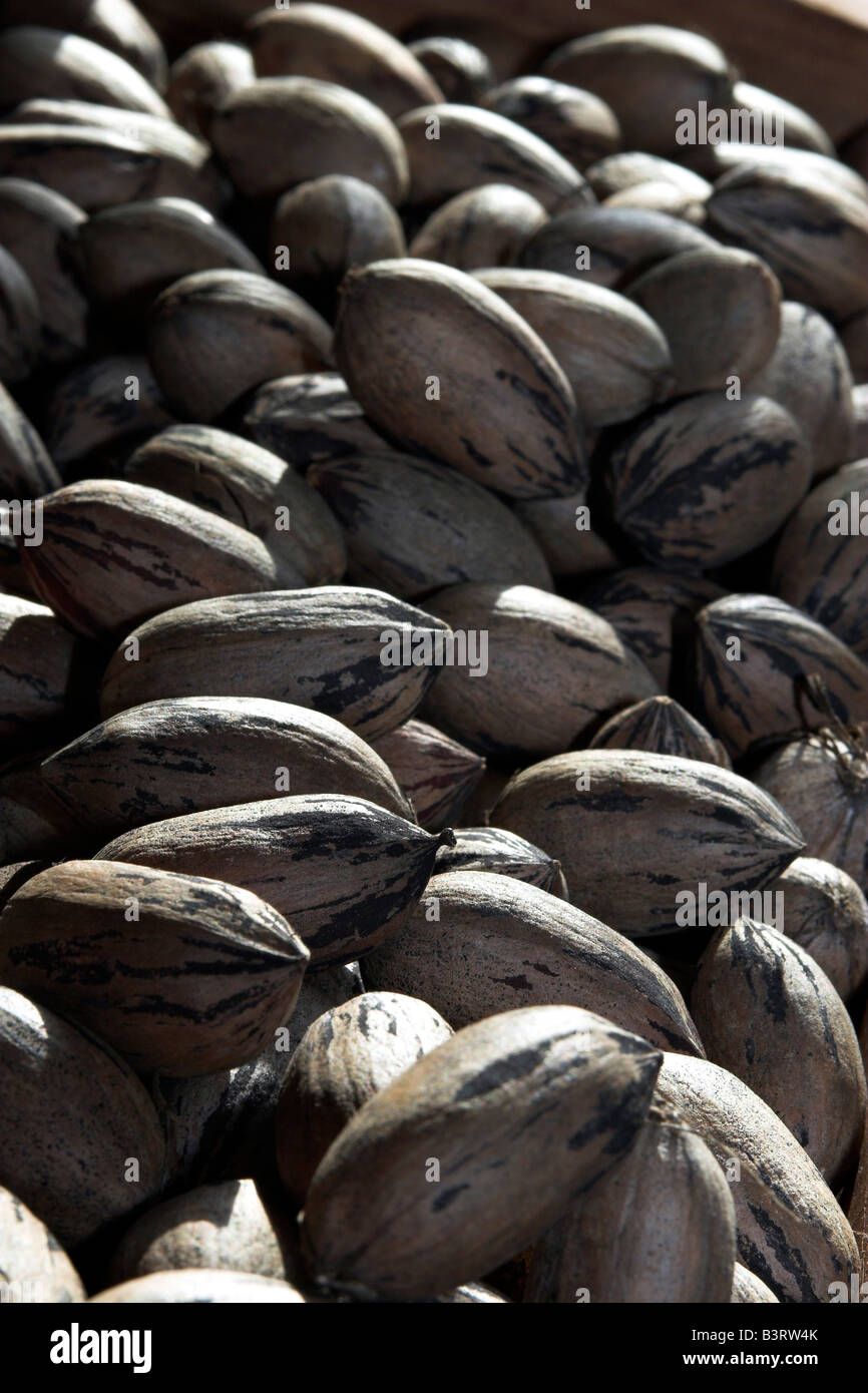 Texas pecans hi-res stock photography and images - Alamy