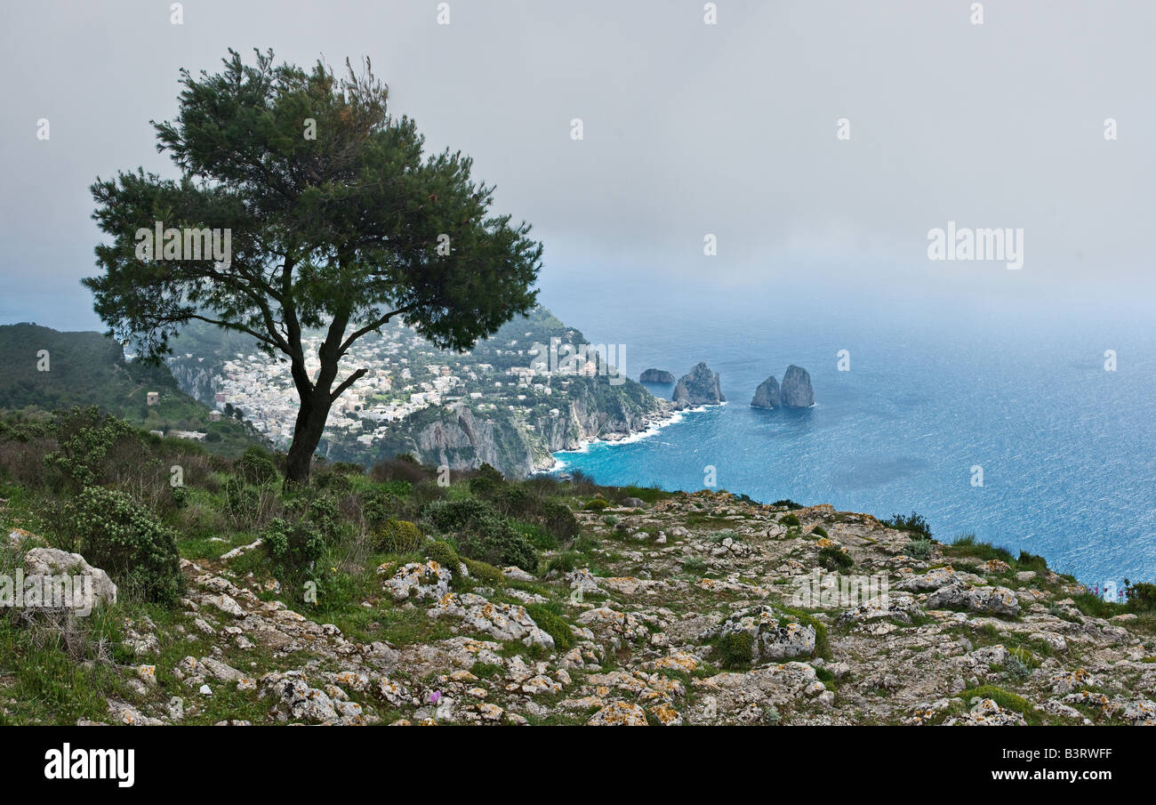 Foggy morning on the top of Monte Solaro mount, Capri, Italy Stock ...