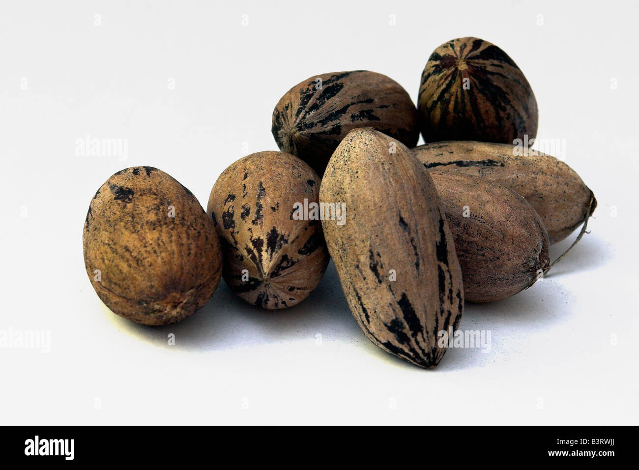 Texas pecans hi-res stock photography and images - Alamy