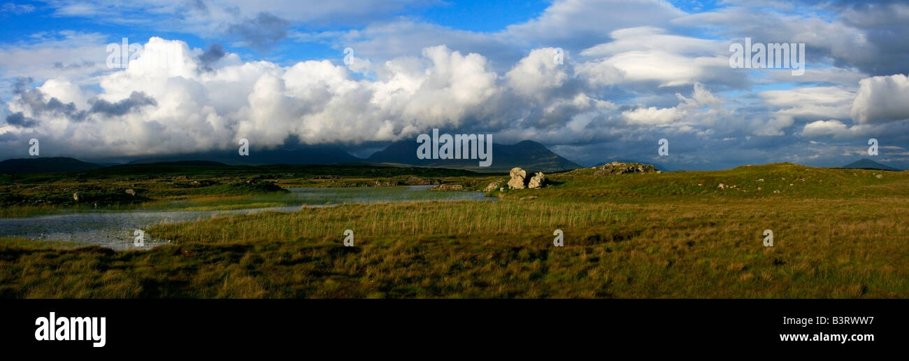 A field and swamp area, County Galway, Ireland Stock Photo - Alamy