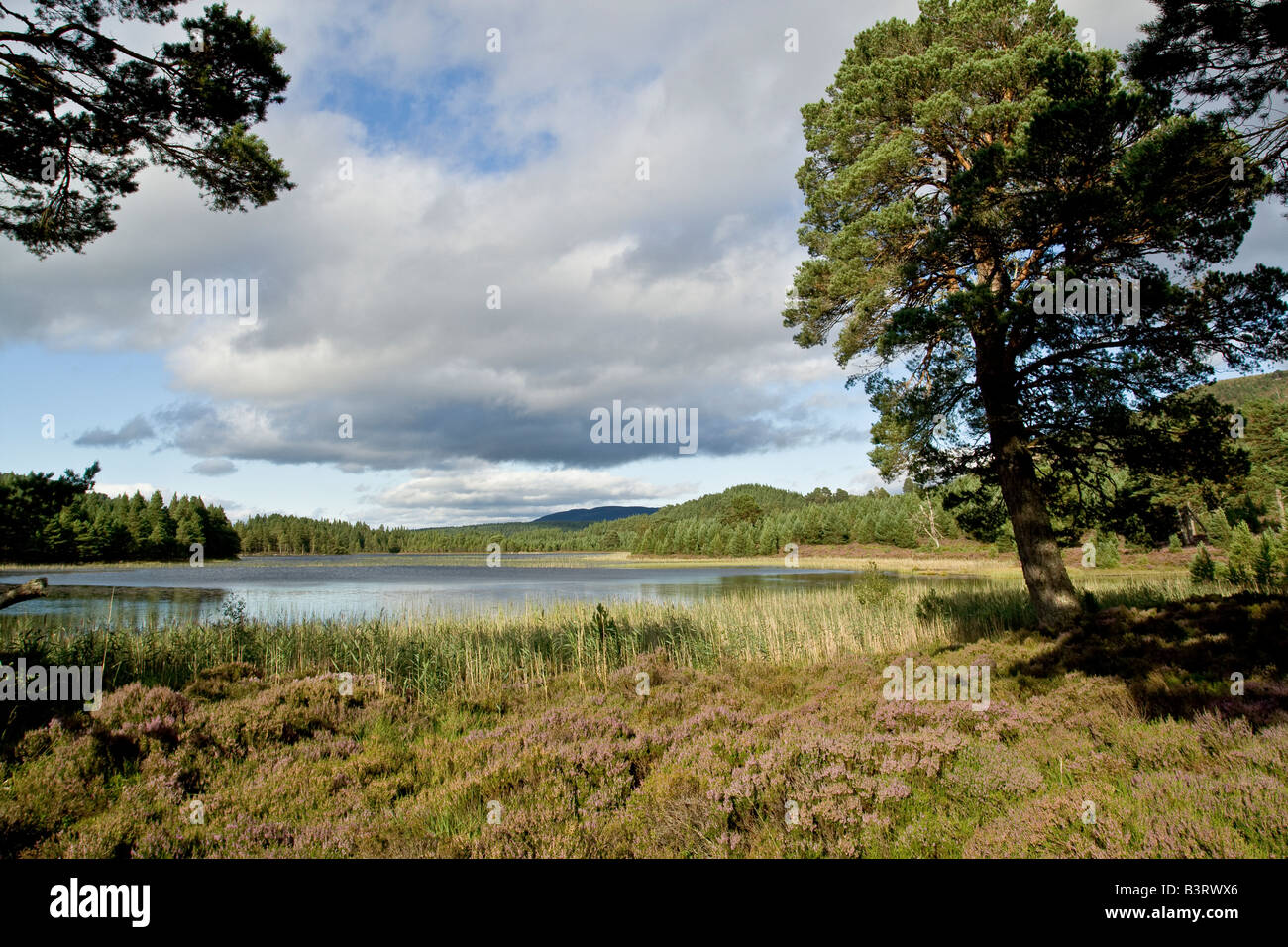 Loch water hi-res stock photography and images - Alamy