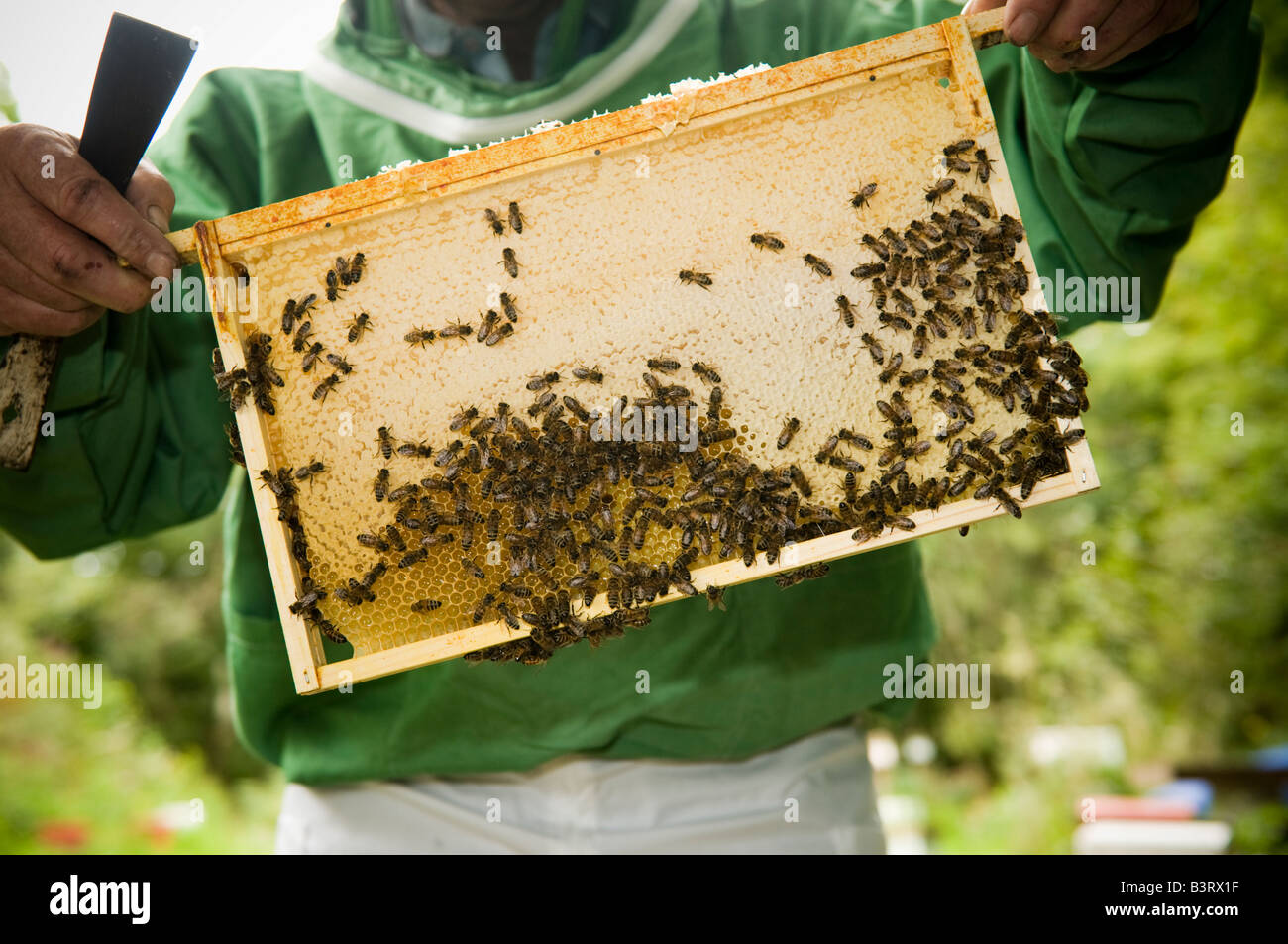 British bee hives hi-res stock photography and images - Alamy