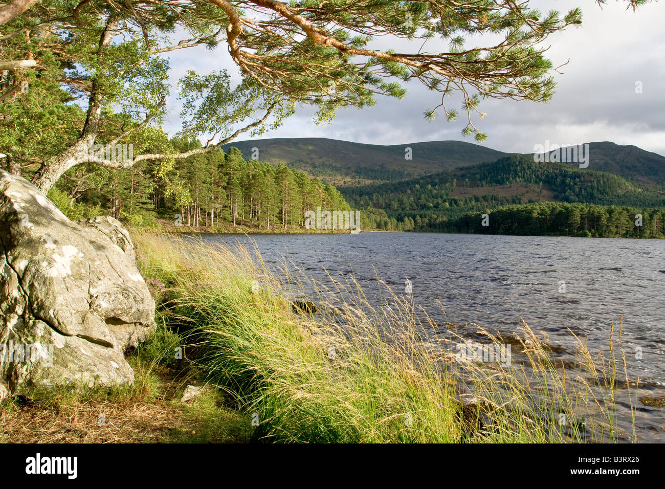 Loch water hi-res stock photography and images - Alamy