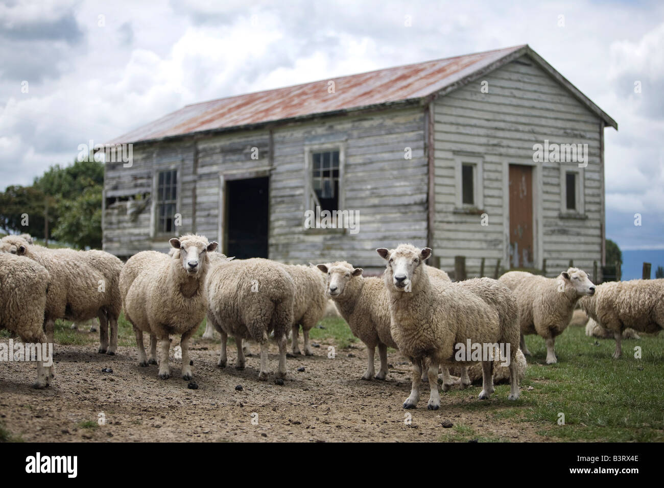 Front of the building hi-res stock photography and images - Alamy