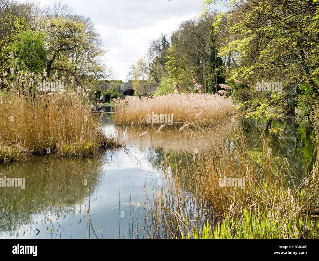 Hermitage Local Nature Reserve in Mansfield, Nottinghamshire England UK ...