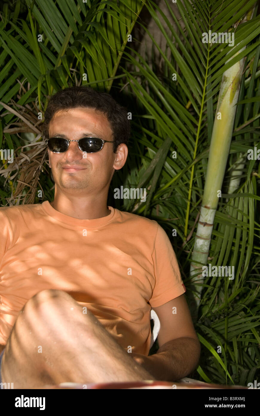 Palm trees man hi-res stock photography and images - Alamy