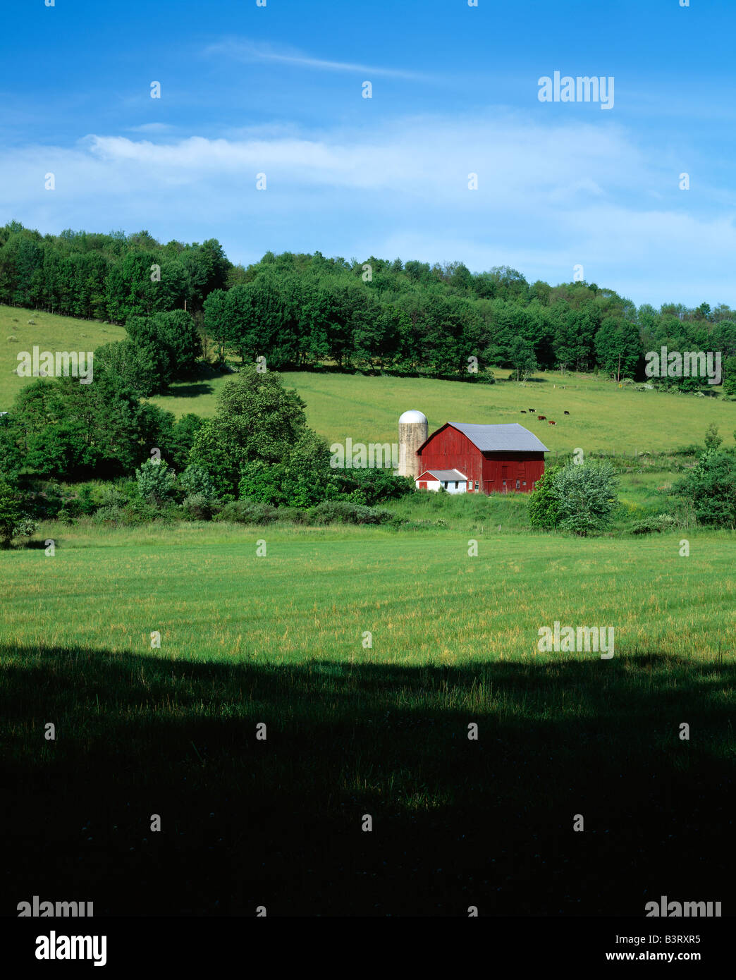 Red barn & farm fields off Rt. 187 near Rt. 6 & Cherrytown, Bradford ...