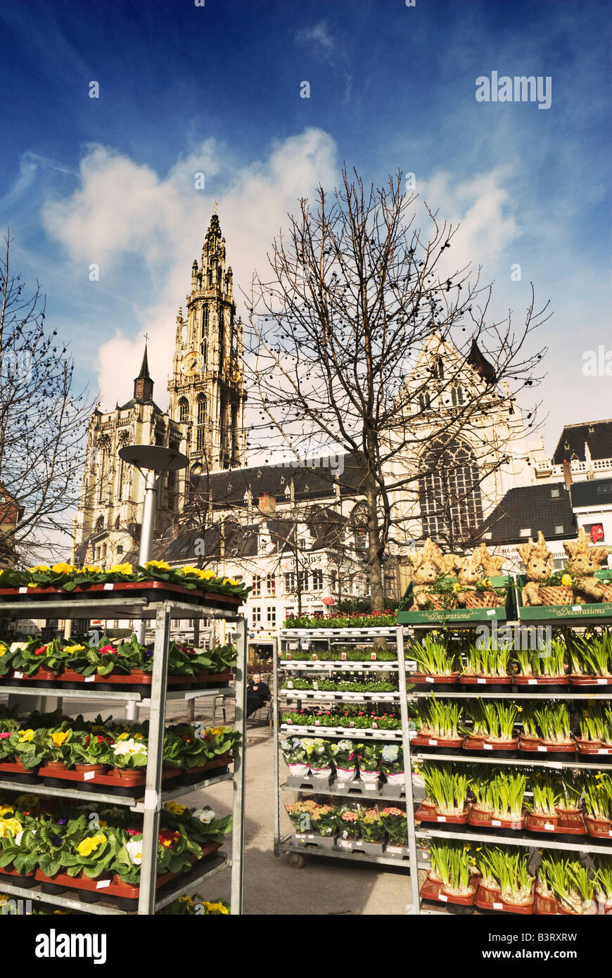 Flower market in the Market Square (Grote Markt) Antwerp, Belgium Stock ...