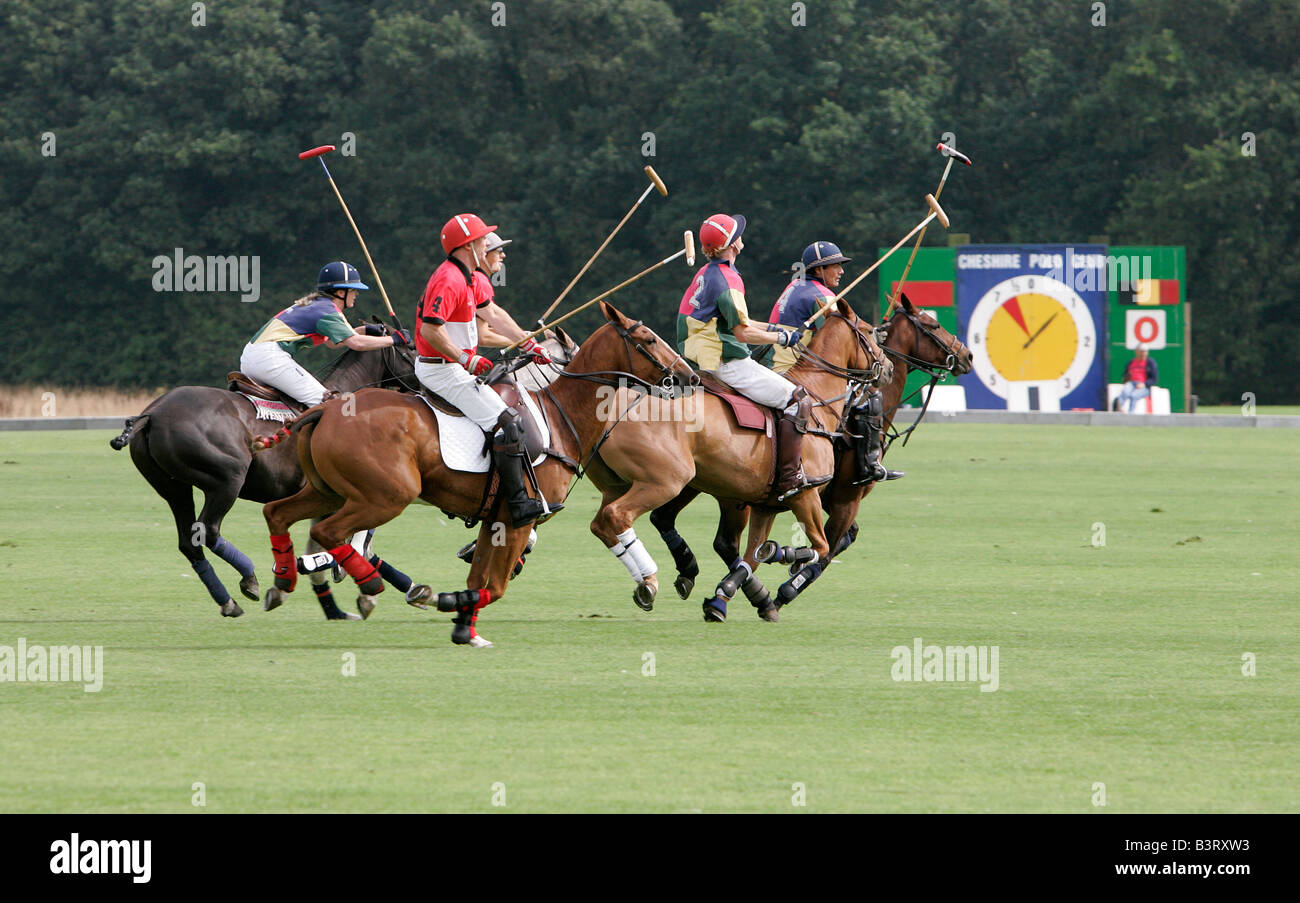 Polo tournament match sports horseback rider horse riding motion man ...