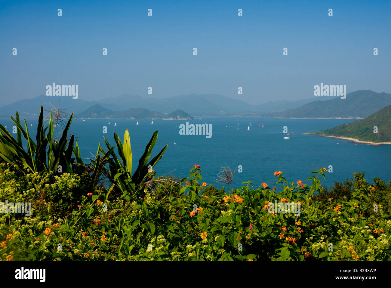 asia china hong kong Clearwater bay new territories Stock Photo - Alamy