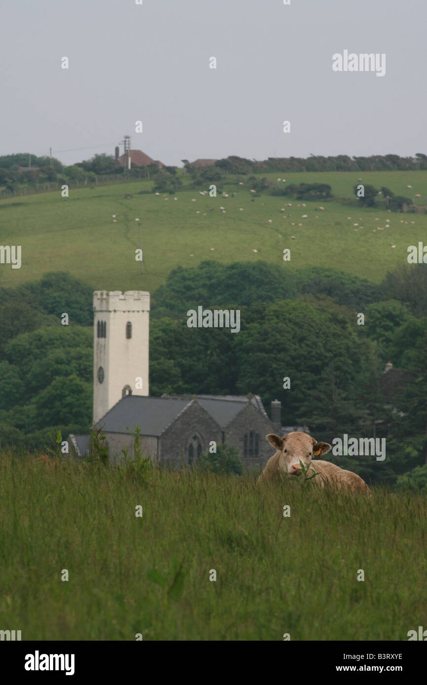 Manorbier church Pembrokeshire Wales Stock Photo - Alamy
