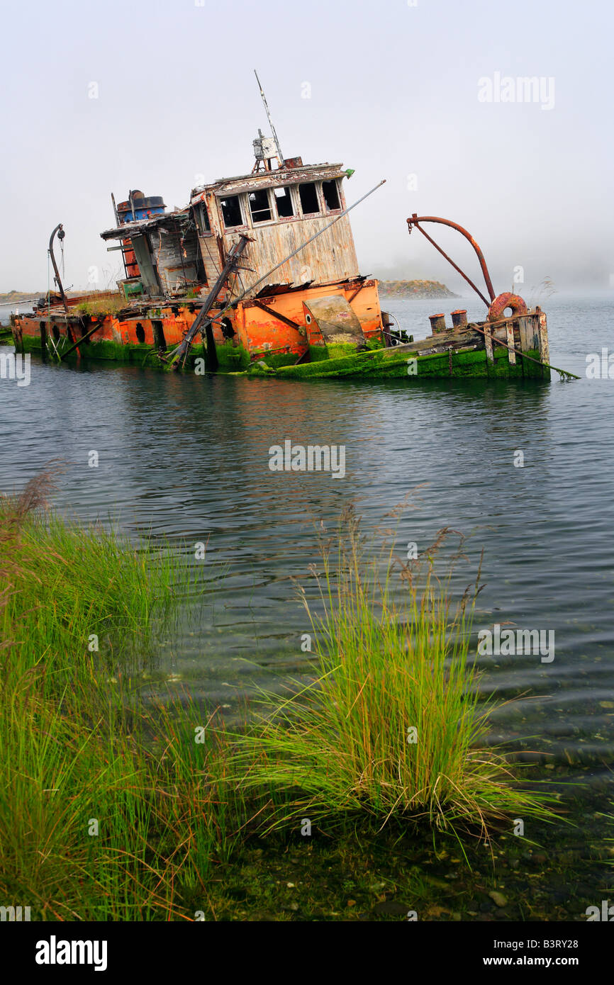 Shipwreck coast oregon hi-res stock photography and images - Alamy