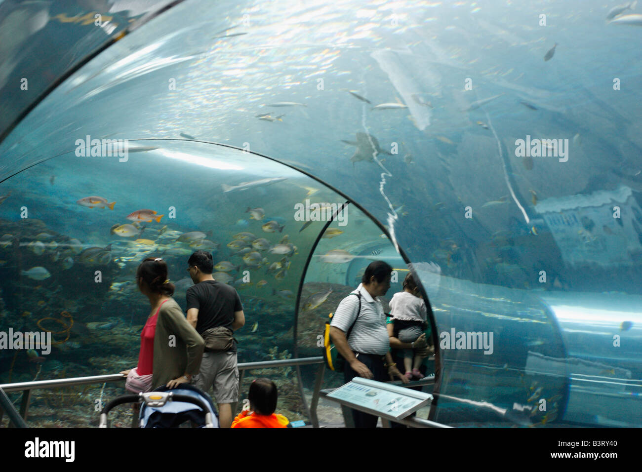 Walk through aquarium tunnel underwater hi-res stock photography and ...