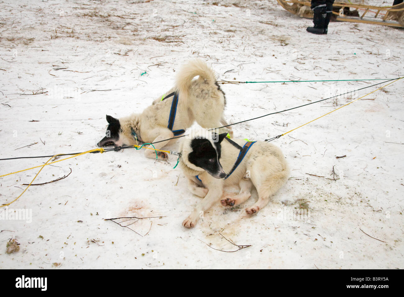 Environment of tromso hi-res stock photography and images - Alamy