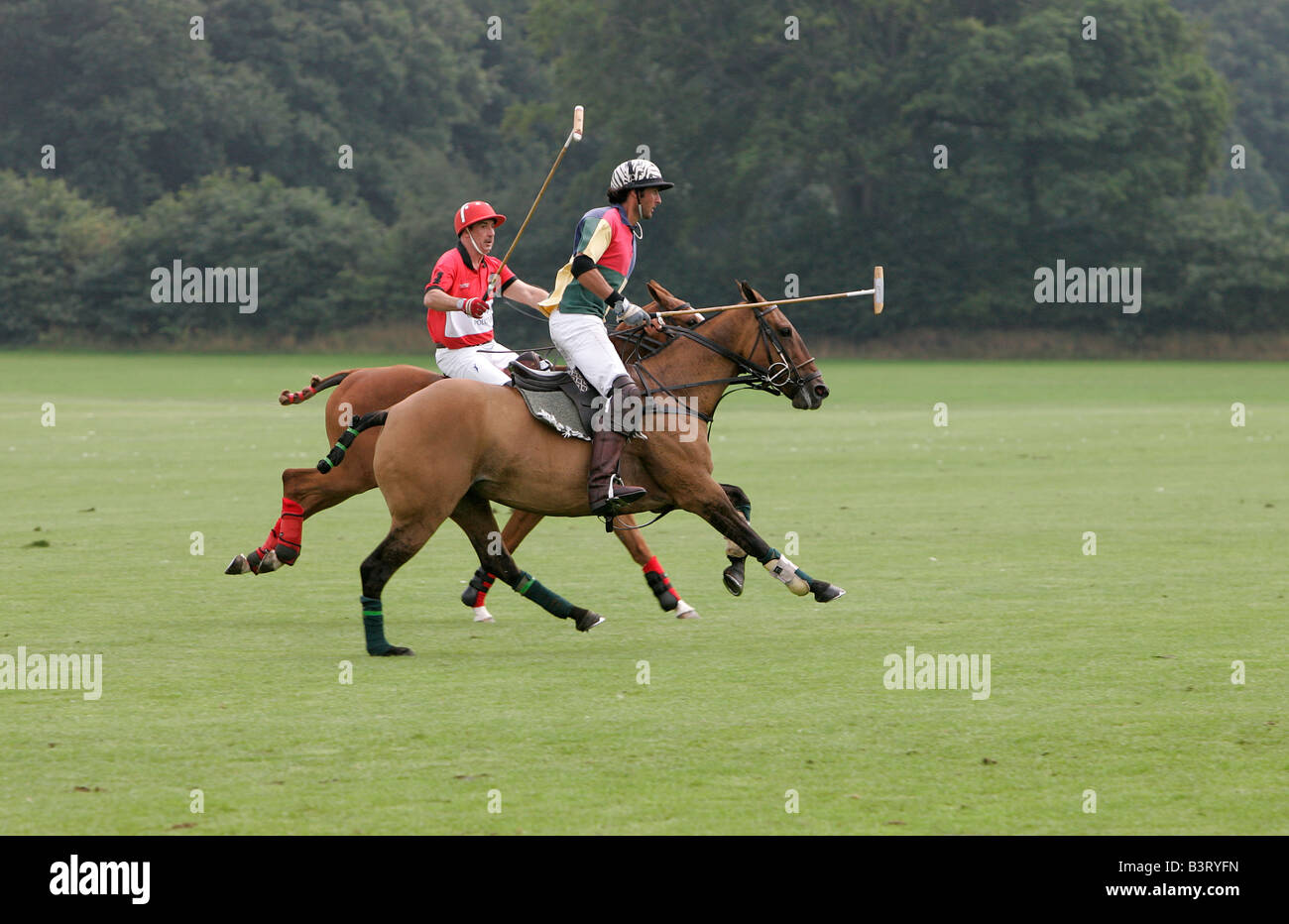 Polo tournament match sports horseback rider horse riding motion man ...