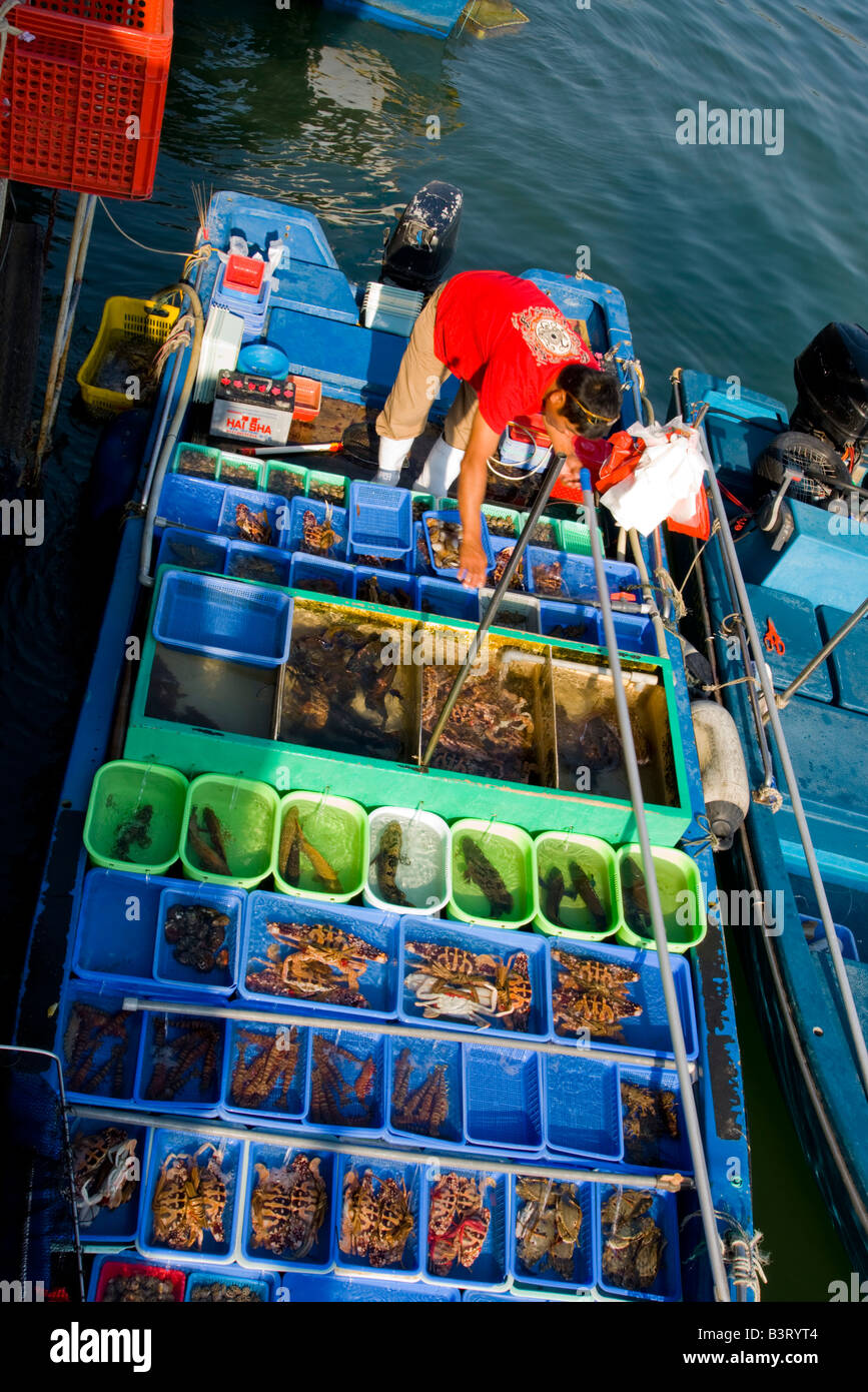 asia china hong kong Saikung new territories fish boats Stock Photo - Alamy