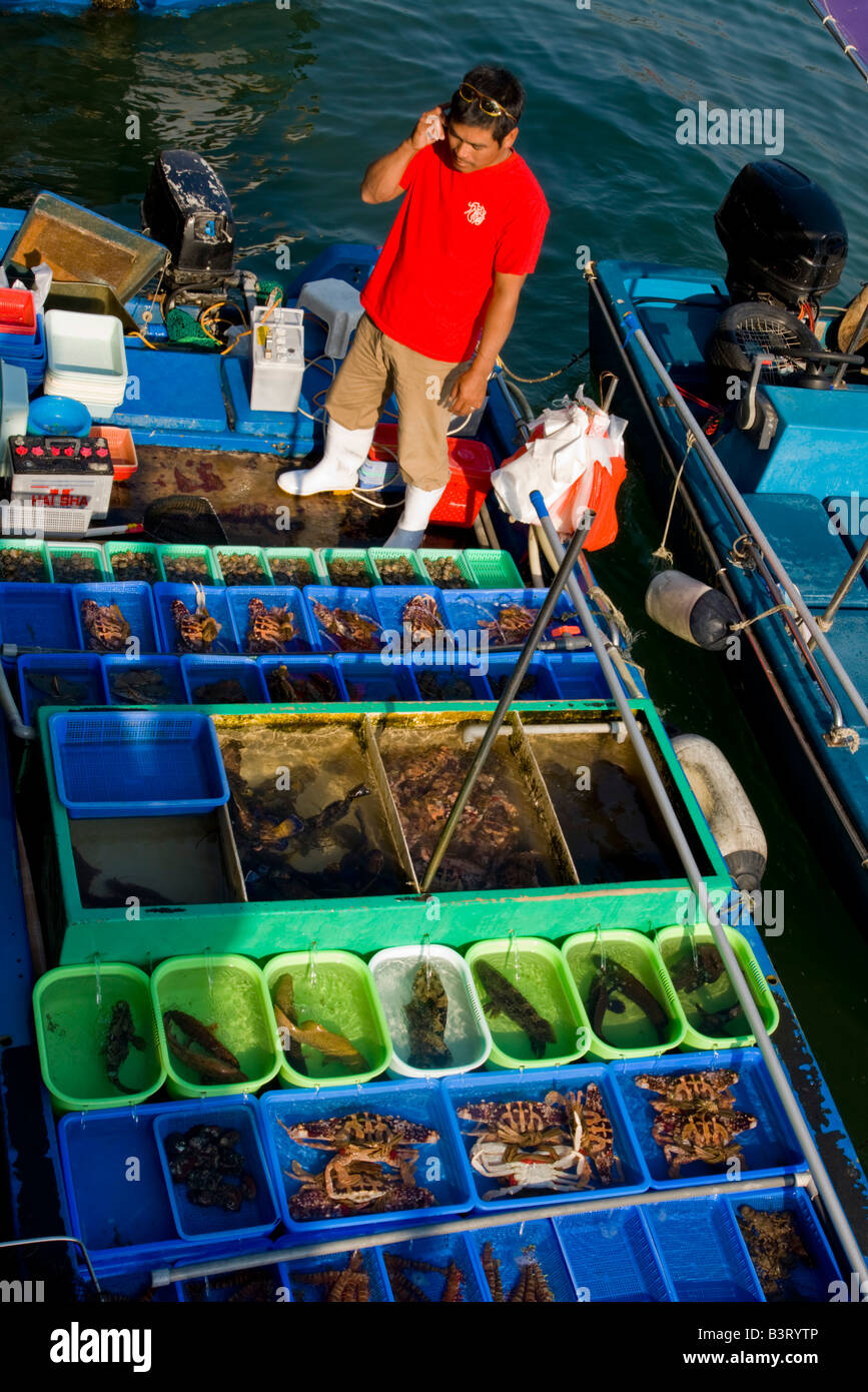 asia china hong kong Saikung new territories fish boats Stock Photo - Alamy
