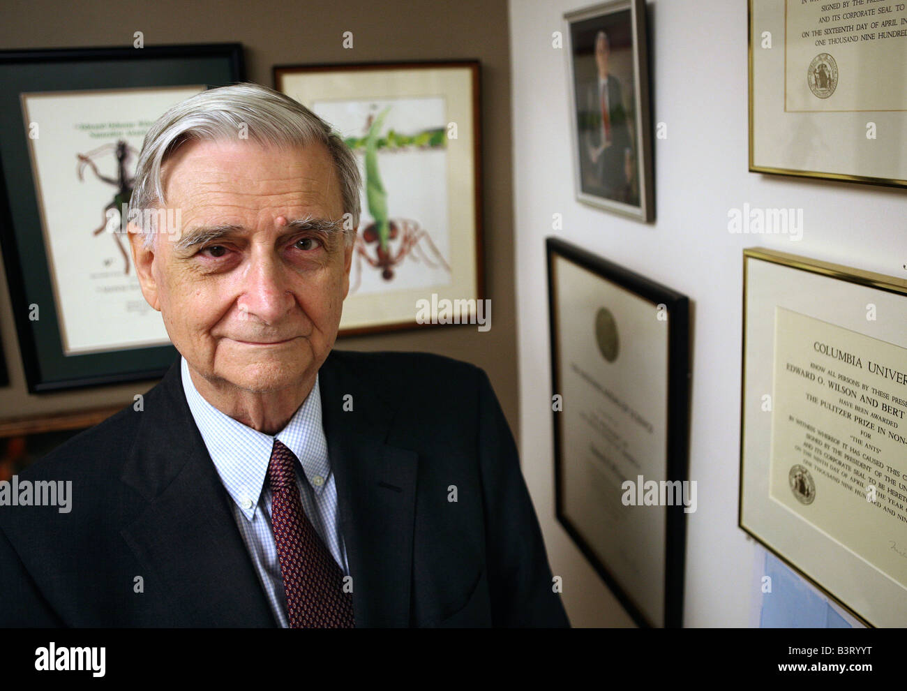 Professor and Curator of Entomology at the Museum of Comparative ...