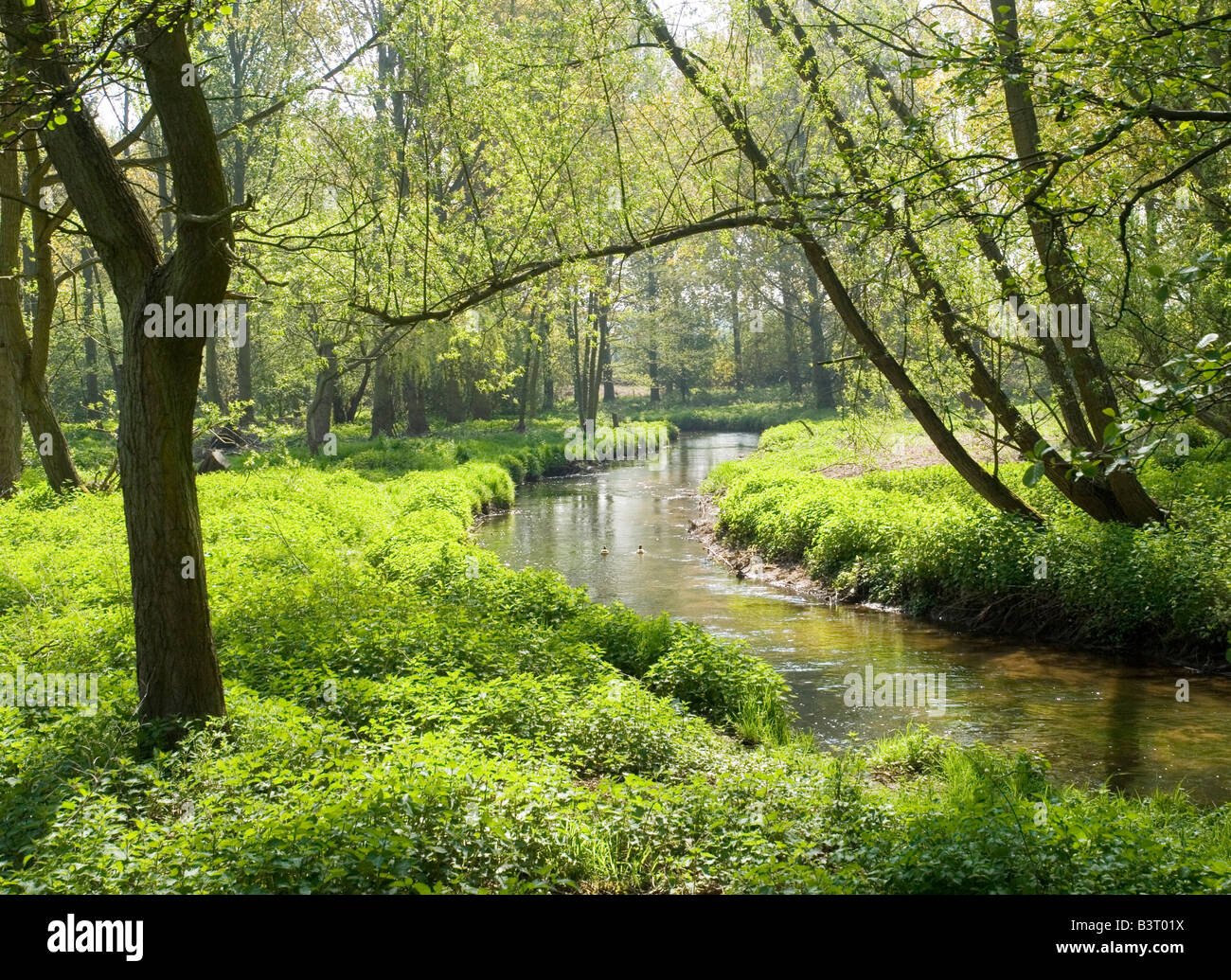 Meden vale hi-res stock photography and images - Alamy