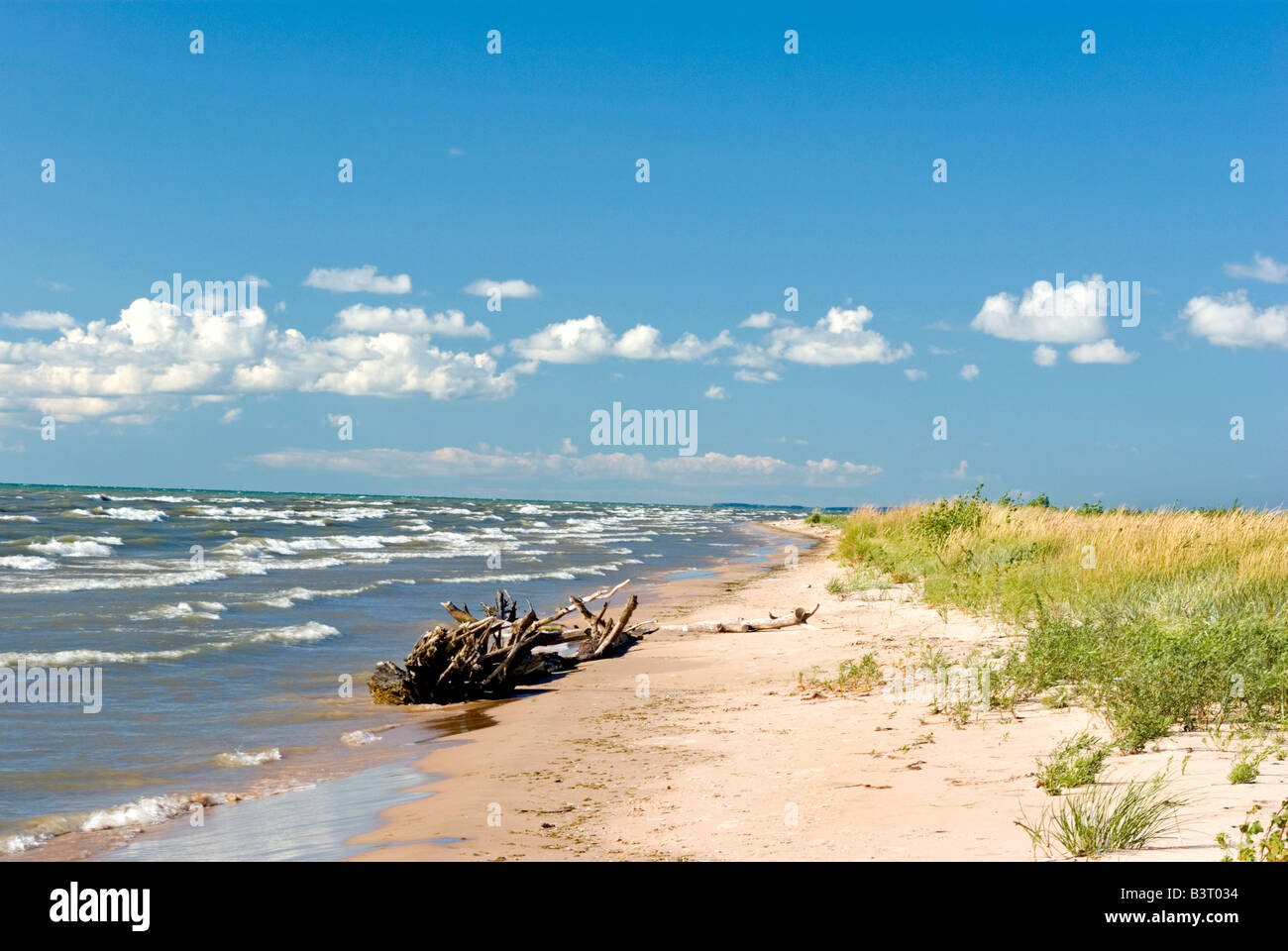Lake Michigan shore Point Beach State Forest Wisconsin Stock Photo - Alamy