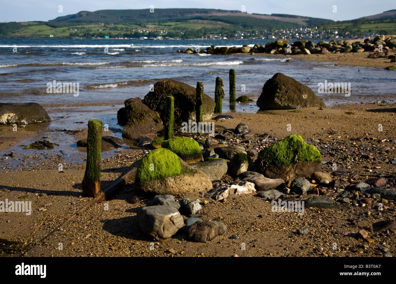 Rocks covered in seaweed on Brodick beach on the Isle of Arran in south ...