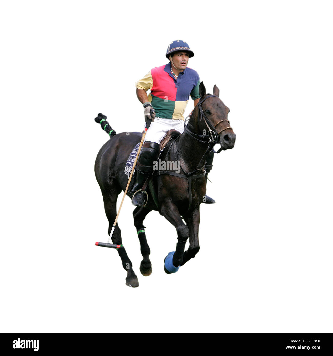 Polo mallet hi-res stock photography and images - Alamy