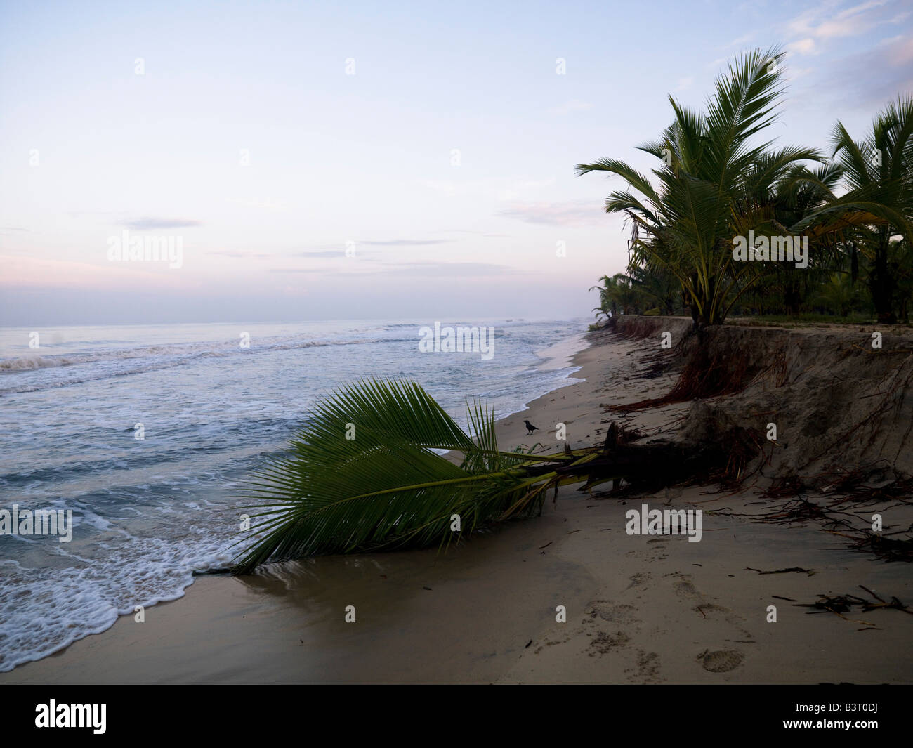 Beaches in arabian sea hi-res stock photography and images - Alamy