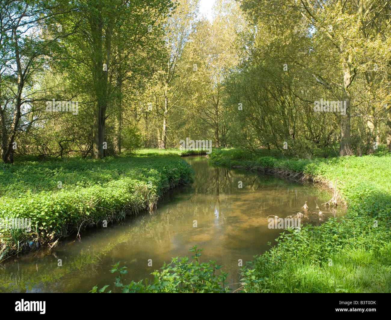 River meden hi-res stock photography and images - Alamy