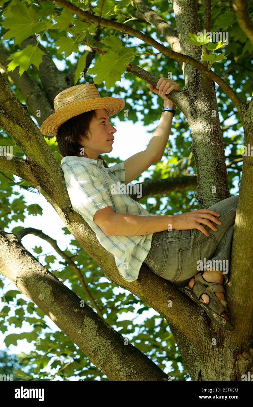 teenage boy sitting in a tree Stock Photo - Alamy