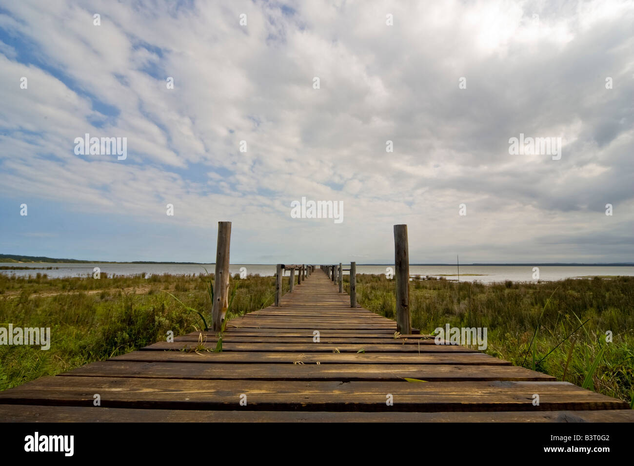 Jetty wood planks hi-res stock photography and images - Alamy