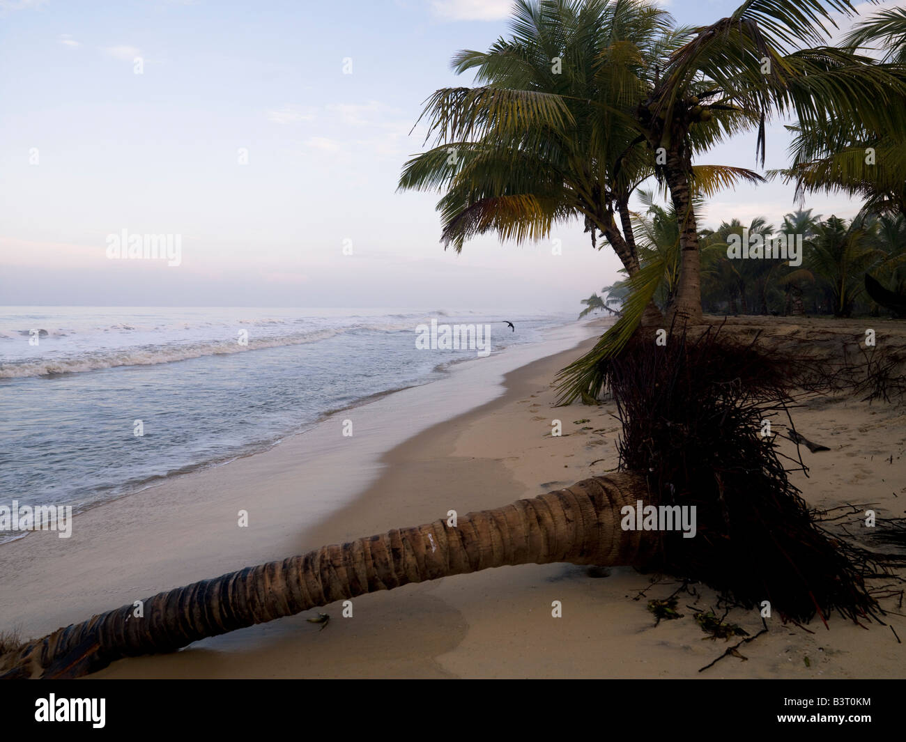 Arabian Sea, Kerala, India Stock Photo - Alamy