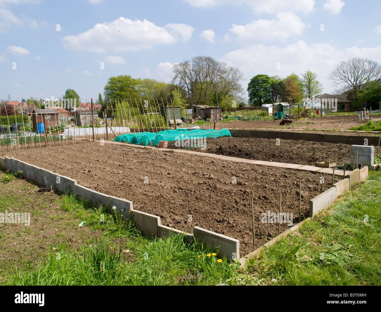 An allotment near Mansfield in Nottinghamshire England UK Stock Photo ...