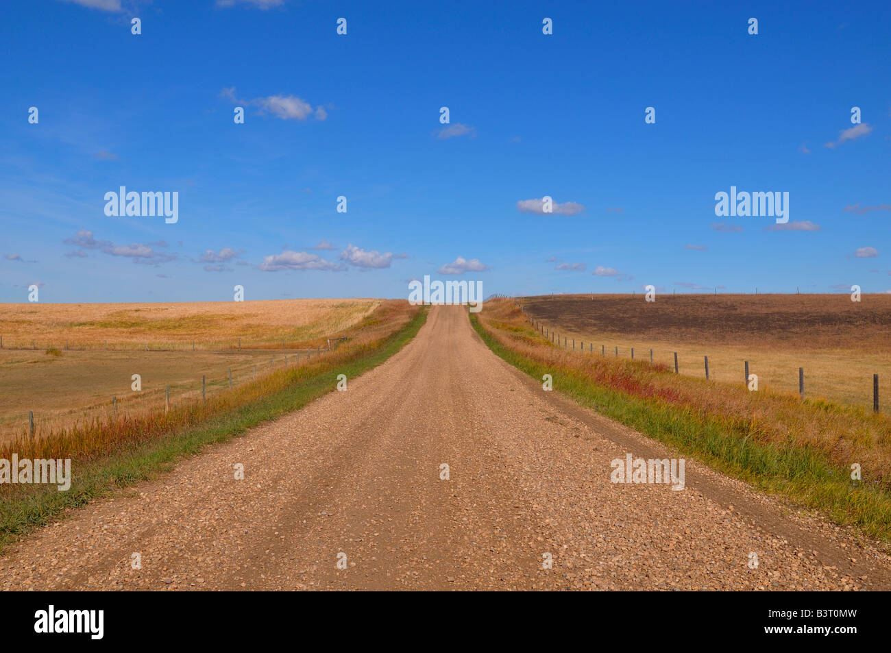 Straight country road vast hi-res stock photography and images - Alamy